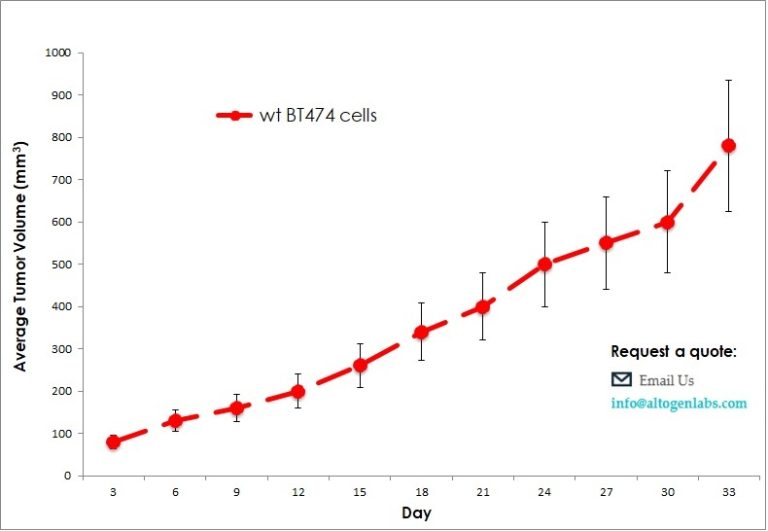 BT-474 Xenograft Model | Xenograft Services: CDX, PDX, PDO, Syngeneic