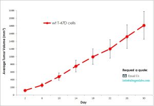 T-47D Xenograft Model | Xenograft Services: CDX, PDX, PDO, Syngeneic