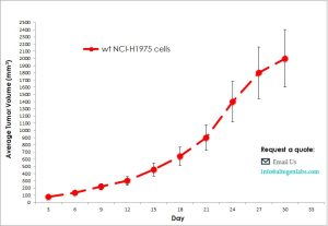 NCI-H1975 Xenograft Model | Xenograft Services: CDX, PDX, PDO, Syngeneic
