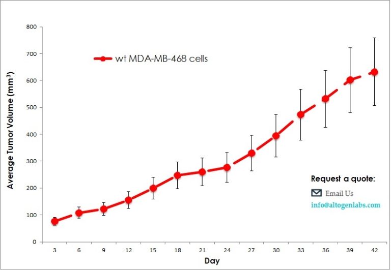 MDA-MB-468 Xenograft Model | Xenograft Services: CDX, PDX, PDO, Syngeneic