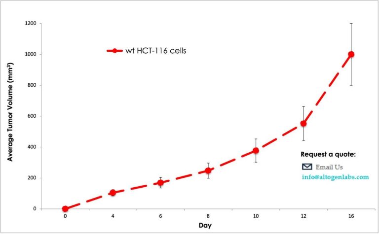 HCT116 Xenograft Model | Xenograft Services: CDX, PDX, PDO, Syngeneic