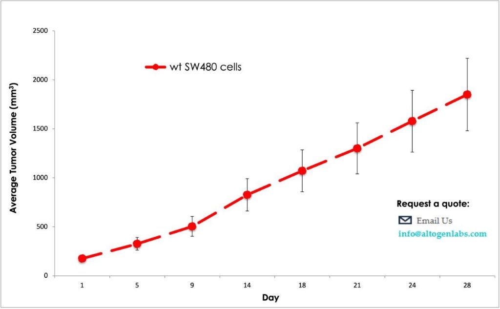 SW480 Xenograft Model | Xenograft Services: CDX, PDX, PDO, Syngeneic
